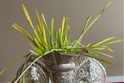 Dashain Tika Time 2025 Archives – NepaliPage | Nepalese Community ...